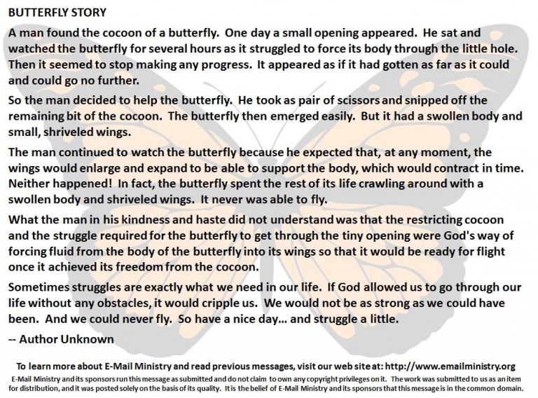 Butterfly Story – E-Mail Ministry Butterfly Story – E-Mail Ministry