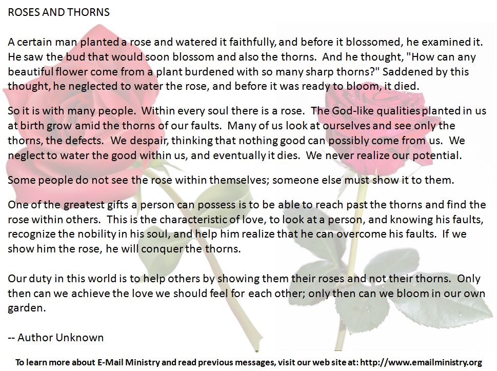 Roses and Thorns – E-Mail Ministry